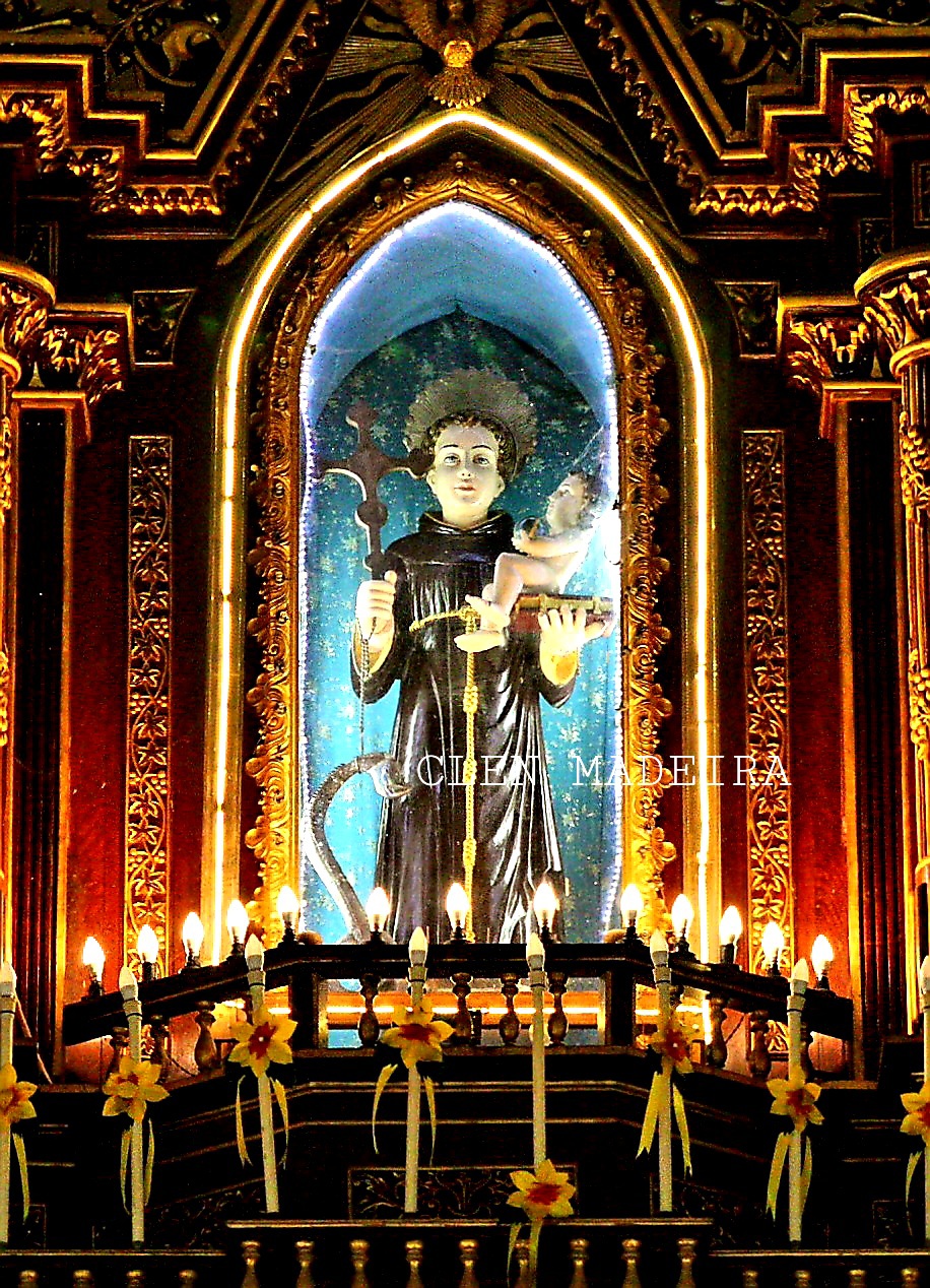 Animals – 4: Snakes